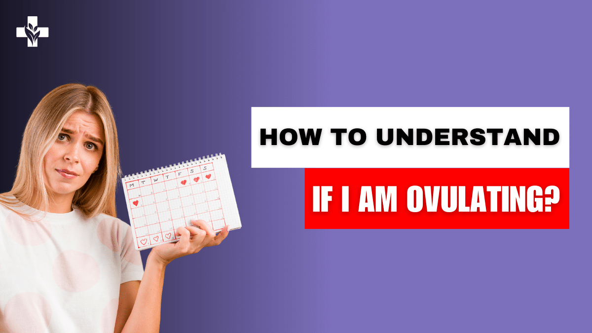 Precise Ovulation Calculator for Most Fertile Days