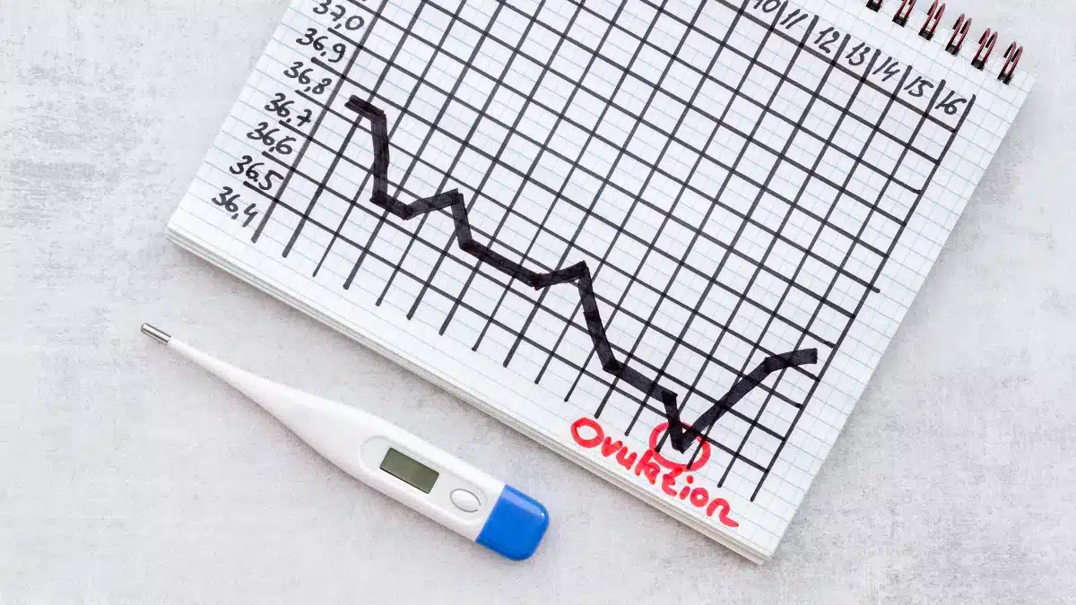 Are Your Progesterone Levels After Ovulation Supporting Your Fertility ...