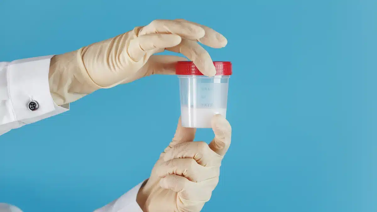 The Best 3 Ways to Increase Seminal Fluid